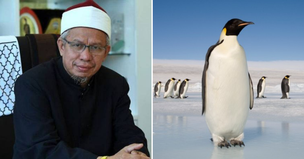 Former M'sian Religious Affairs Minister confirms that 'cute' penguins ...