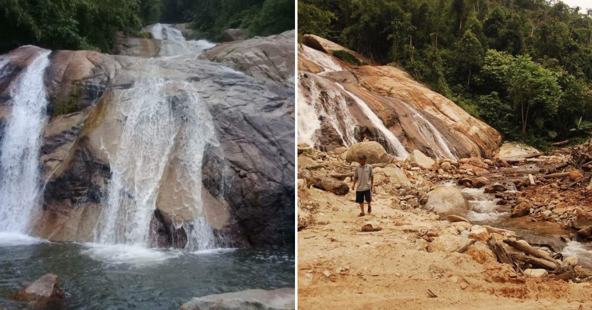 M'sian activists share how logging in Kelantan has allegedly destroyed ...