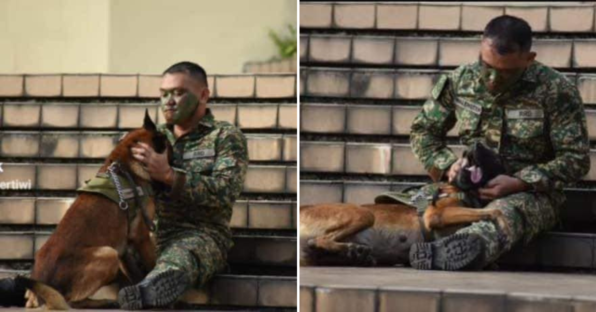 Soldier and his dog seen cuddling up in bittersweet photos as they ...